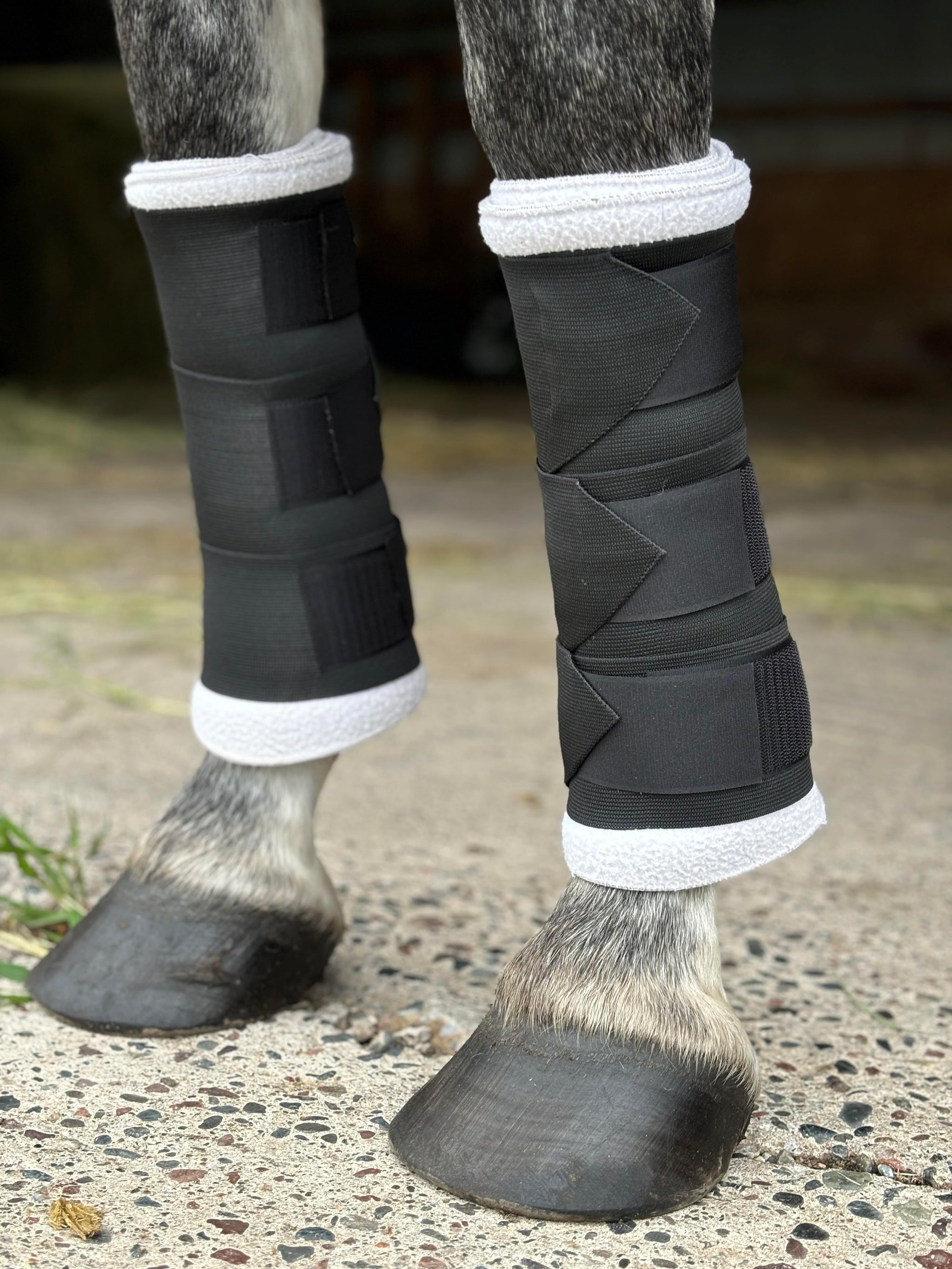 Ultimate Quick Apply Horse Wraps – StrappyWrap